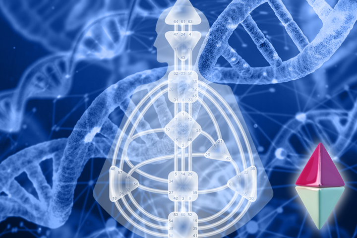 Rave-Cartography - Blog Design Humain France